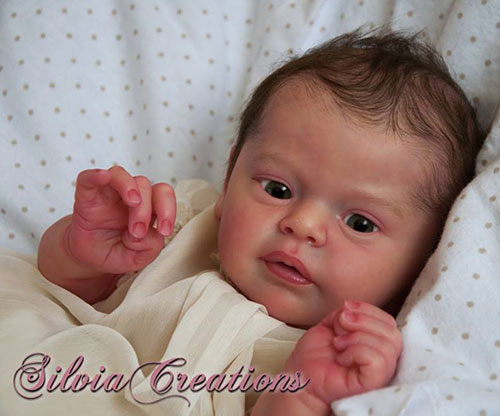 Larry Doll's Instagram, Twitter & Facebook on IDCrawl